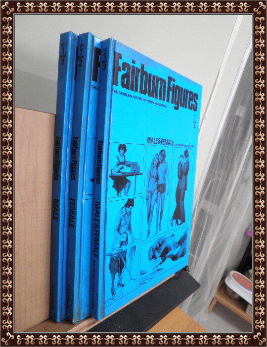 [중고] Fairburn Figures(1-3권 전3권 세트판매) | FULL FIGURE | 알라딘